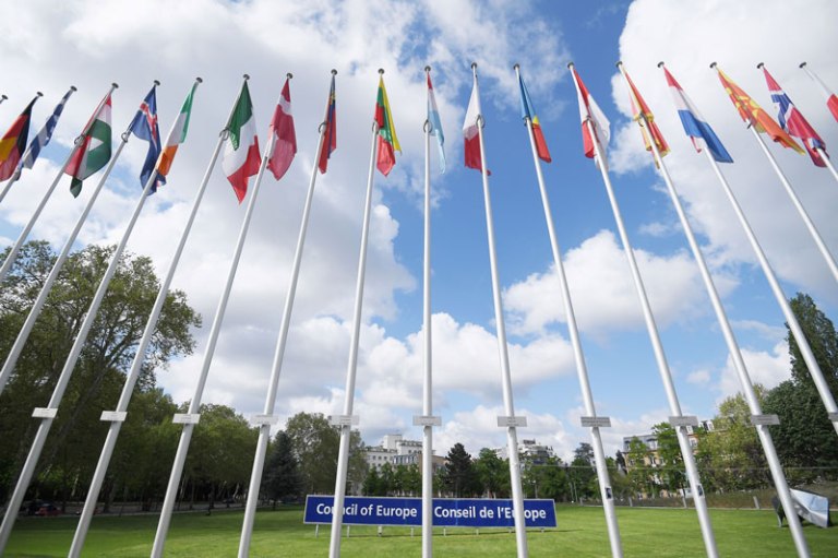 This is Our Vision – Apids